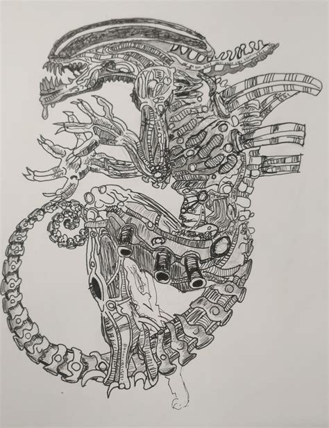 Xenomorph R Drawing