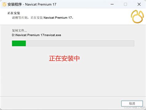 navicat 17详细安装过程（windows 11）_navicat17-CSDN博客