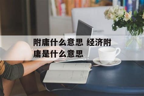 附庸什么意思 经济附庸是什么意思 闪亮的我