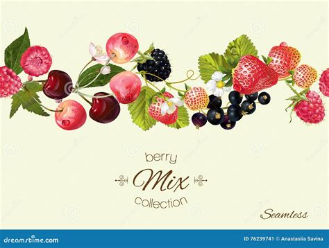 Vector Berry Seamless Border 76239741