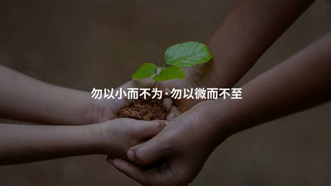 重庆小微企业融资担保公司