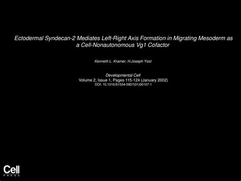 Ectodermal Syndecan 2 Mediates Left Right Axis Formation In Migrating