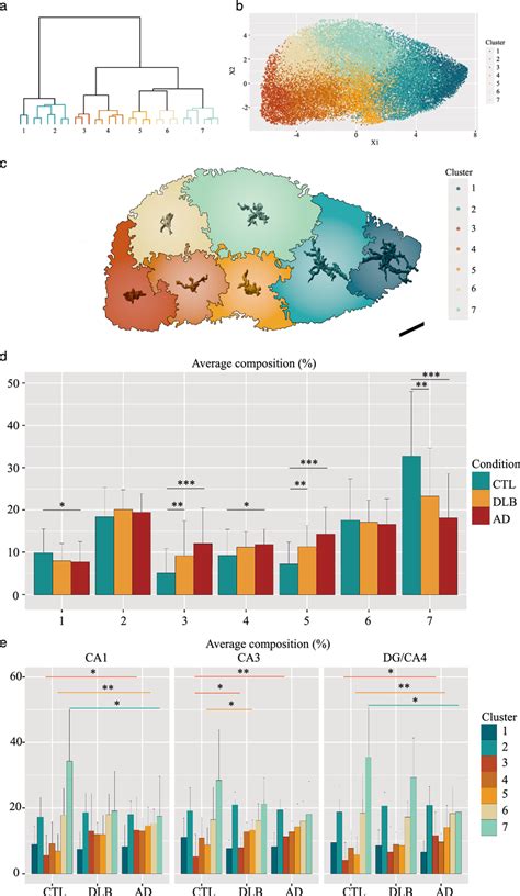Microglia Morphological Cluster Distribution Varies According To The