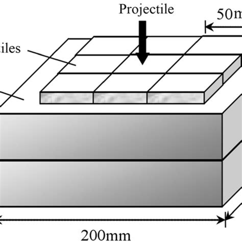 Schematic Diagram Of The Experiment Of Projectile Target System Madhu Download Scientific