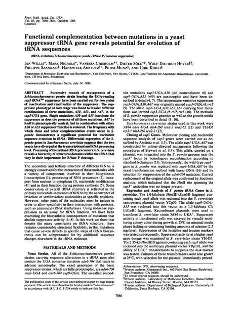 Pdf Functional Complementation Between Mutations In A Yeast Suppressor Trna Gene Reveals