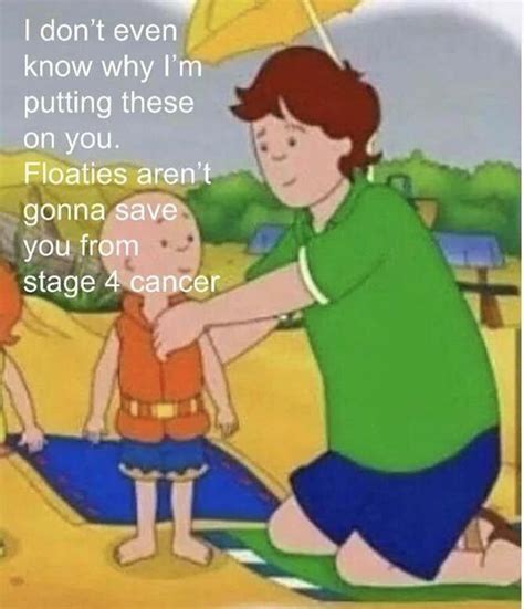 The 15 Funniest Memes Caillou Ranked