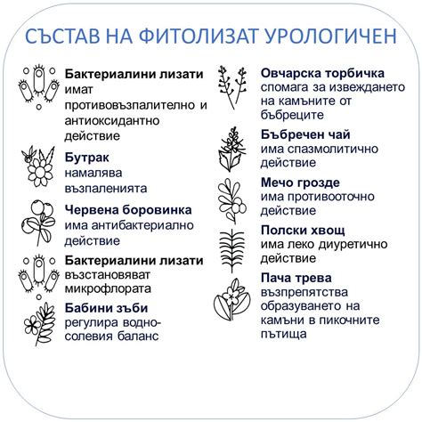 ЗДРАВИ БЪБРЕЦИ И ПИКОЧНИ ПЪТИЩА Vedabiotica Bg