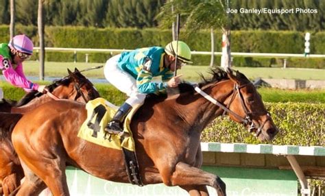 Jimanator Prevails In The Hooper Paulick Report Shining Light On