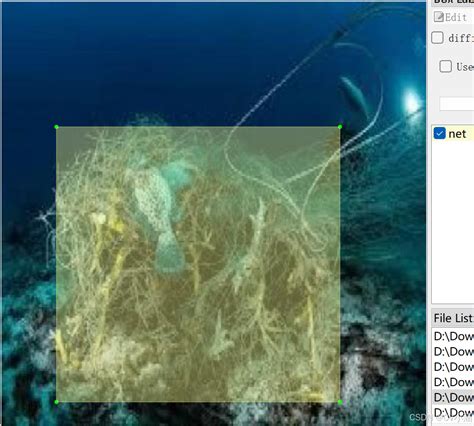 【数据集】【yolo】【目标检测】海洋垃圾识别数据集 5125 张，yolo海洋垃圾识别算法实战训练教程，yolo海底垃圾识别毕业设计。海洋垃圾数据集 Csdn博客