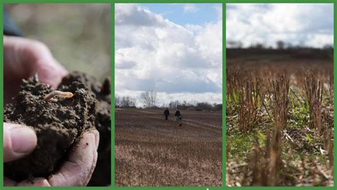How To Get Started With Regenerative Agriculture Agroganic