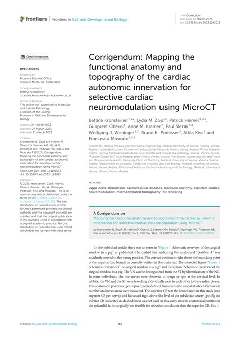 Pdf Corrigendum Mapping The Functional Anatomy And Topography Of The