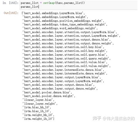 模型训练 Tricks：分层学习率【①预训练模型需要设置较小学习率，②自定义的层需要设置较大学习率】 Csdn博客