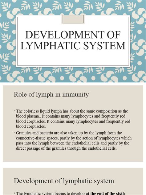 Development Of Lymphatic System Pdf Science And Mathematics