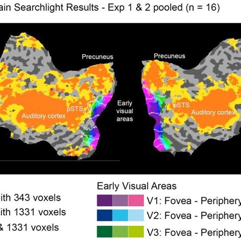 Structure Of The Hmm­based Visual Recognition System Download Scientific Diagram