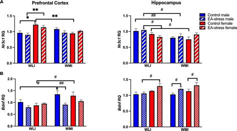 Prefrontal Cortex And Hippocampal Expression Of Nr3c1 A And Bdnf B Prefrontal Cortex And Hippocampal Expression Of Nr3c1 A And Bdnf B