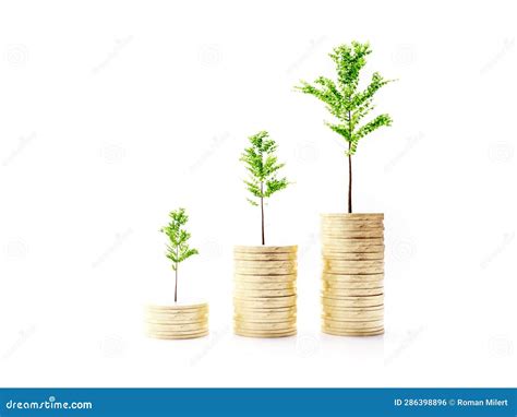 4 Trees A Sapling And A Dead Trunk Tree Growth Cartoon Vector