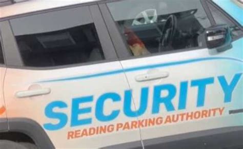 Video Captures Alleged Illegal Activity That Left Reading Parking