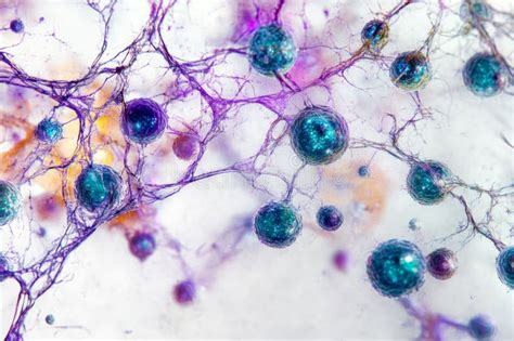 Microscopic View Of Neural Connections And Biological Structures In Abstract Patterns Stock