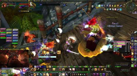 WoW TBC Classic Zul Aman Protection Paladin Tank Full Run YouTube