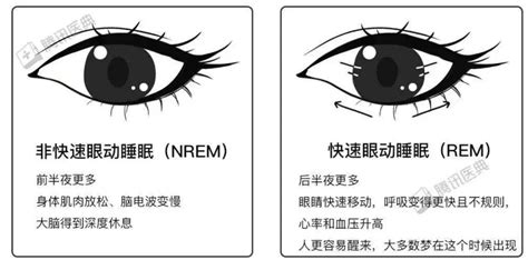 最新研究：我们在梦中看到的东西和快速眼动睡眠的眼球运动之间有什么联系？ 知乎