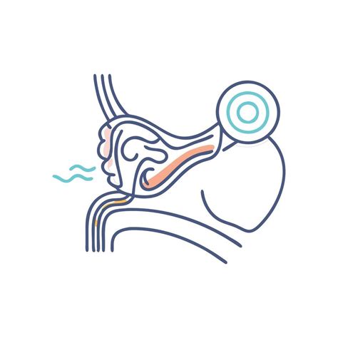 Auditory Canal Unique Anatomy Icon 55728407 Vector Art At Vecteezy