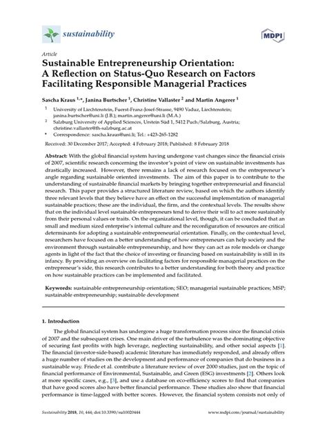 Sustainable Entrepreneurship Orientation A Reflection On Status Quo Research On Factors