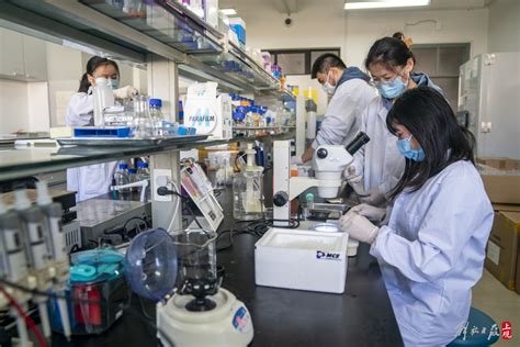 宿舍贴春联食堂备好菜留校学子温暖过新年