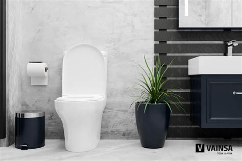 Consejos para elegir un inodoro moderno para el baño Blog