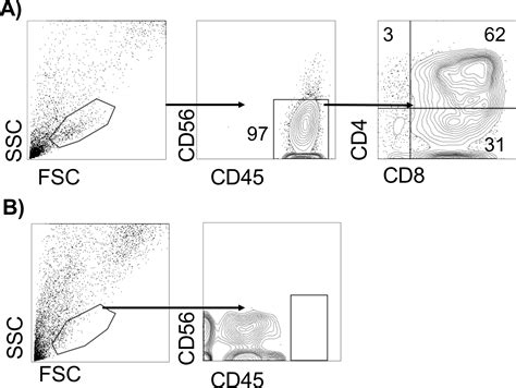 Directed Differentiation Of Primitive And Definitive Hematopoietic Progenitors From Human