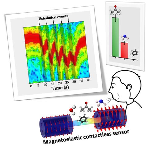 Biosensors Free Full Text Real Time Monitoring Of Breath Biomarkers