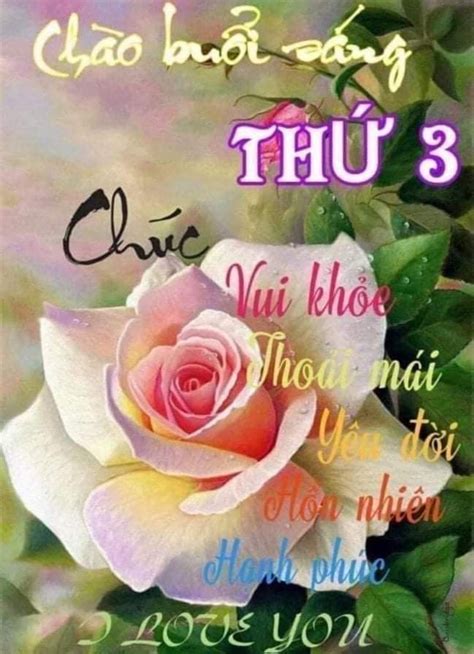 Ghim của An Chi trên lời chúc tốt đẹp Hình ảnh gia đình Hình ảnh Hoa hồng anh