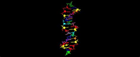 Nasa Funded Research Creates Dna Like Molecule To Aid Search For Alien