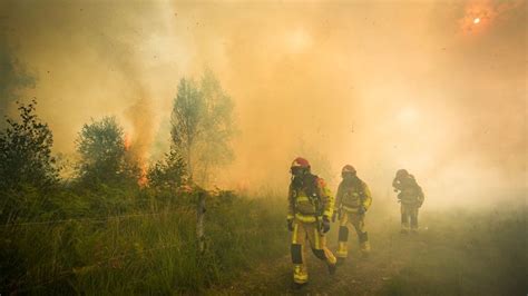Grote Natuurbrand In De Peel Al 34 Hectare In Vlammen Opgegaan