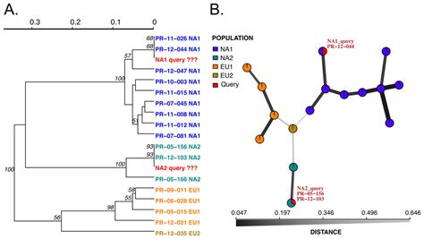 Microbe ID An Open Source Toolbox For Microbial Genotyping And Species Identification PeerJ