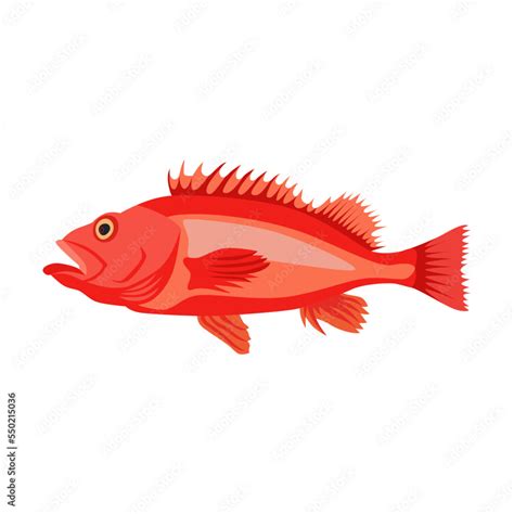Free Sea Bass Clipart Download Free Sea Bass Clipart Png Images Free