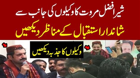 Historic Welcome By Lawyers To Sher Afzal Marwat Express News Youtube
