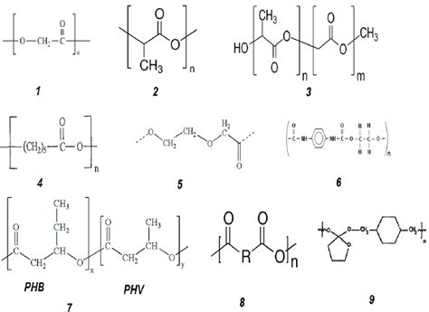 Biodegradable Synthetic Polymers 1 Polyglycolide Acid 2 Polylactide Download Scientific