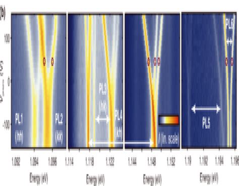 Defects For Quantum Information Processing Nano Group Budapest
