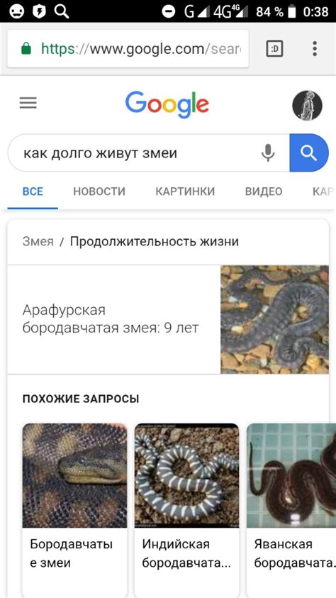 Создать мем отличие медянки от гадюки змеи краткая характеристика