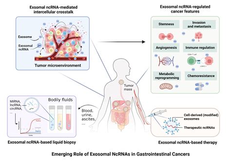 Pharmacol Res Rna