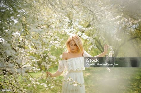 흰 드레스 화이트 피는 벚꽃 나무 들 사이에서 도보로 로마 젊은 금발 여자 개화기에 대한 스톡 사진 및 기타 이미지 개화기 걷기 결혼식 Istock