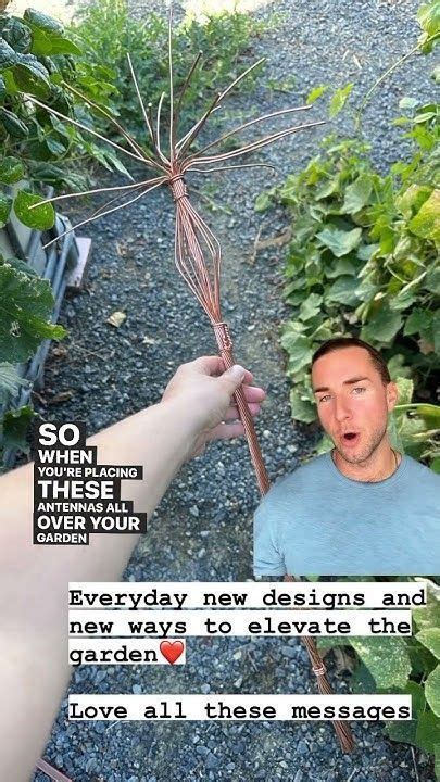 Electroculture For Beginners🌞 ️ A Sample Antenna Gardening Techniques