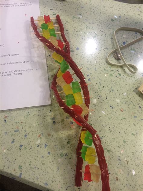 Candy Dna Model For Edible Science Artofit
