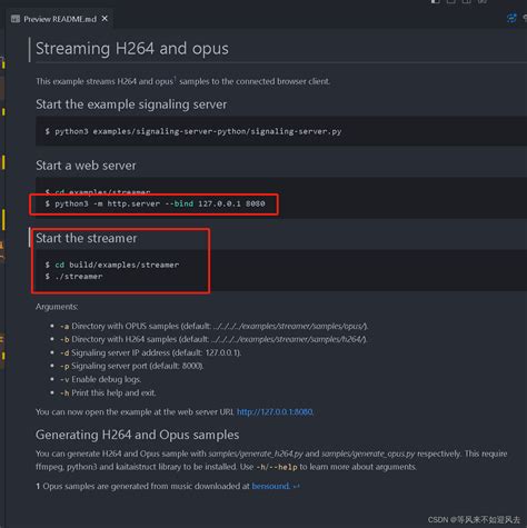 Libdatachannelpycharm Streamer Streamer Js Csdn