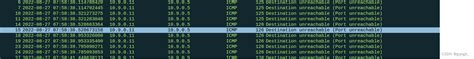 Seedlabvirtual Private Network Lab Csdn博客