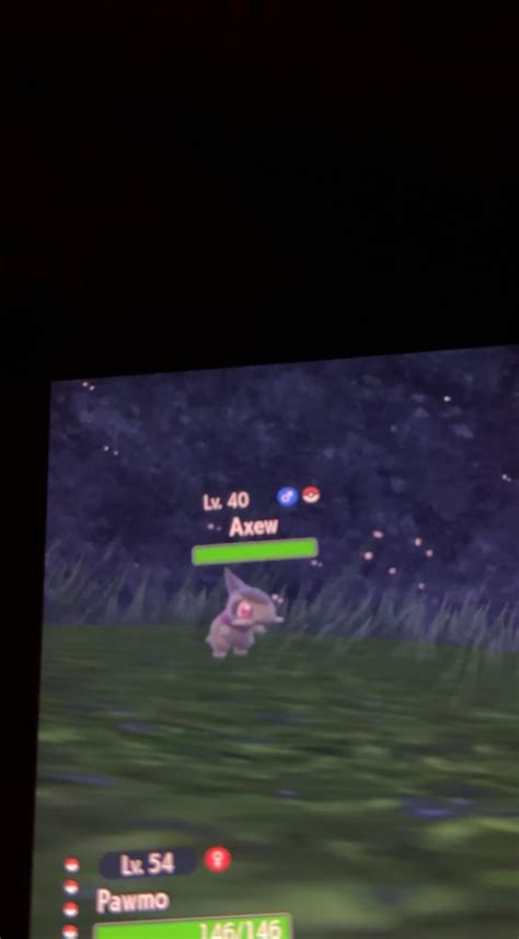 [gen 9] Shiny Axew From Sandwich Method R Shinypokemon