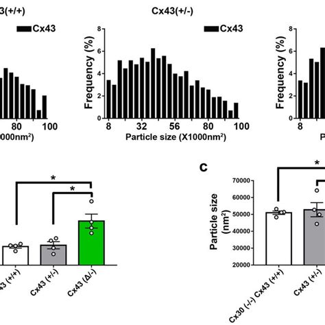 Distribution Of Cx43 In Endfeet Of Cx43 Transgenic Mice A Histograms