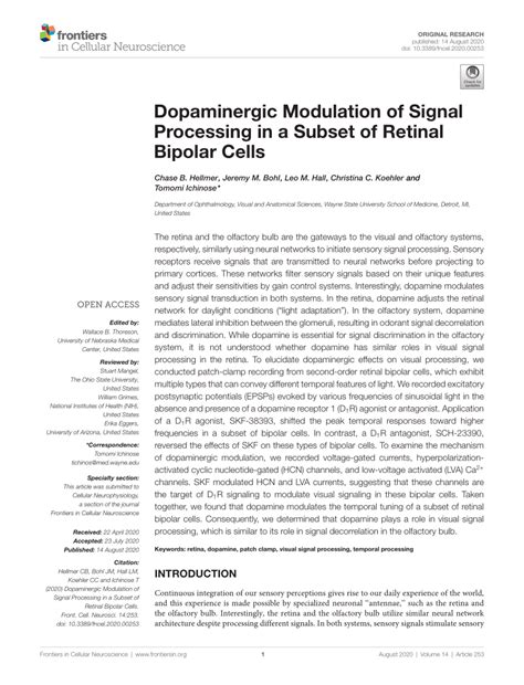 Pdf Dopaminergic Modulation Of Signal Processing In A Subset Of