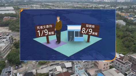 【元朗三代命案】93歲死者擁元朗多幅土地 多次與發展商對簿公堂 Now 新聞