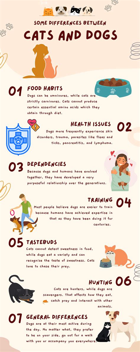 Difference Between Cats And Dogs As Pets At Catherine Dorsey Blog